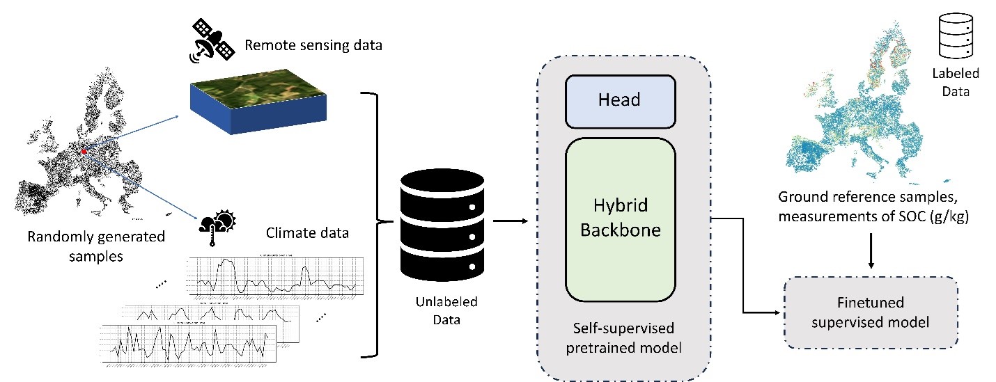 SSL-SoilNet: Tackling the Lack of Ground Truth Data with Self-supervised Deep Learning ...
