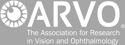 Short Talk by Tom Schwerd-Kleine at ARVO 2023 | Universität Tübingen